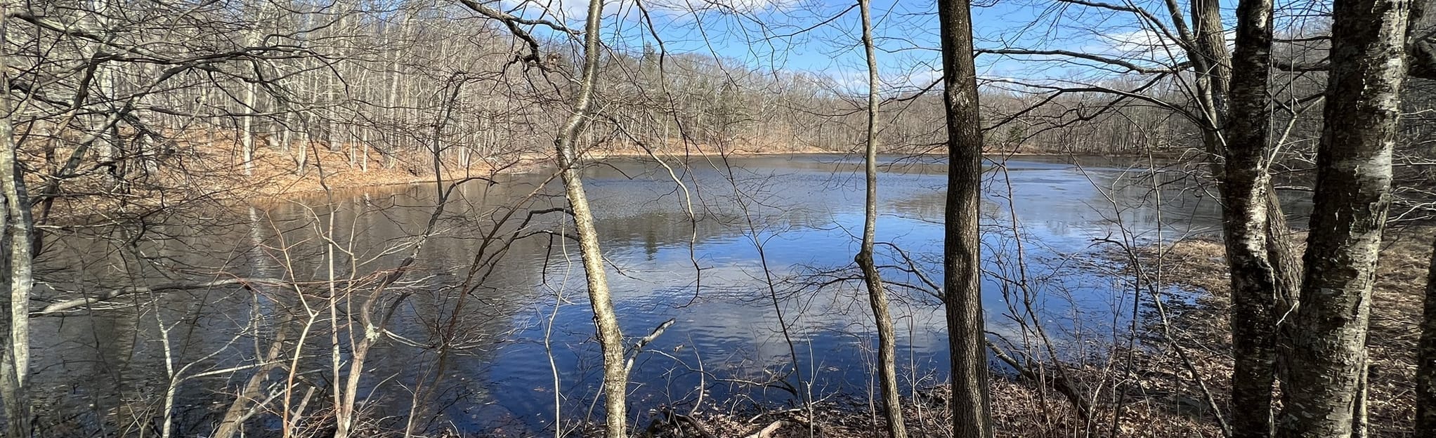 Tift Pond Loop: 45 Reviews, Map - Connecticut | AllTrails