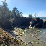Cape Arago Loop Trail, Oregon - 278 Reviews, Map | AllTrails