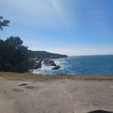 Cape Arago Loop Trail, Oregon - 278 Reviews, Map | AllTrails