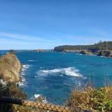 Cape Arago Loop Trail, Oregon - 278 Reviews, Map | AllTrails