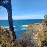 Cape Arago Loop Trail, Oregon - 278 Reviews, Map | AllTrails