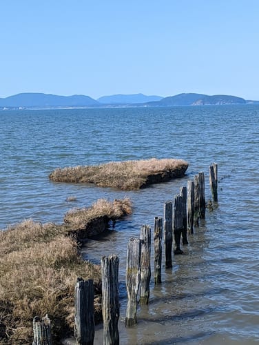 Best Hikes and Trails in Padilla Bay National Estuarine Research ...