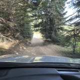 Naches and Greenwater OHV Trail, Washington - 35 Reviews, Map | AllTrails