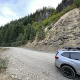 Naches and Greenwater OHV Trail, Washington - 35 Reviews, Map | AllTrails