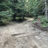 Naches and Greenwater OHV Trail, Washington - 35 Reviews, Map | AllTrails