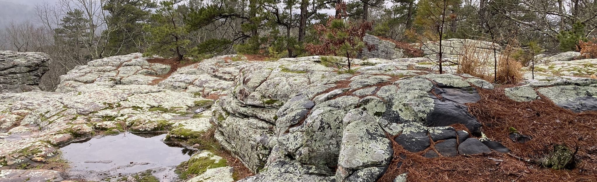 Stem Rock Trail, Arkansas - 30 Reviews, Map | AllTrails