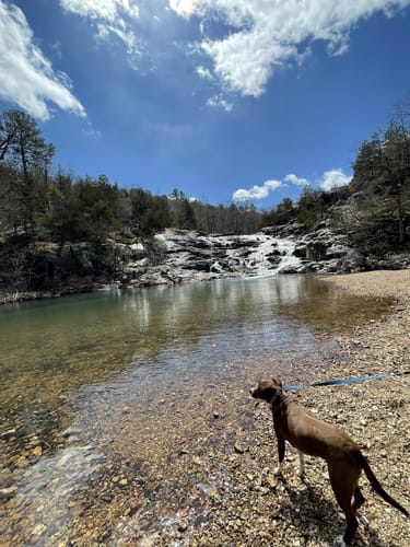 Peck Ranch Conservation Area: Die besten Routen in 2023 | AllTrails