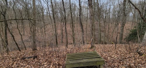 Best Hikes and Trails in Linbrook Park | AllTrails