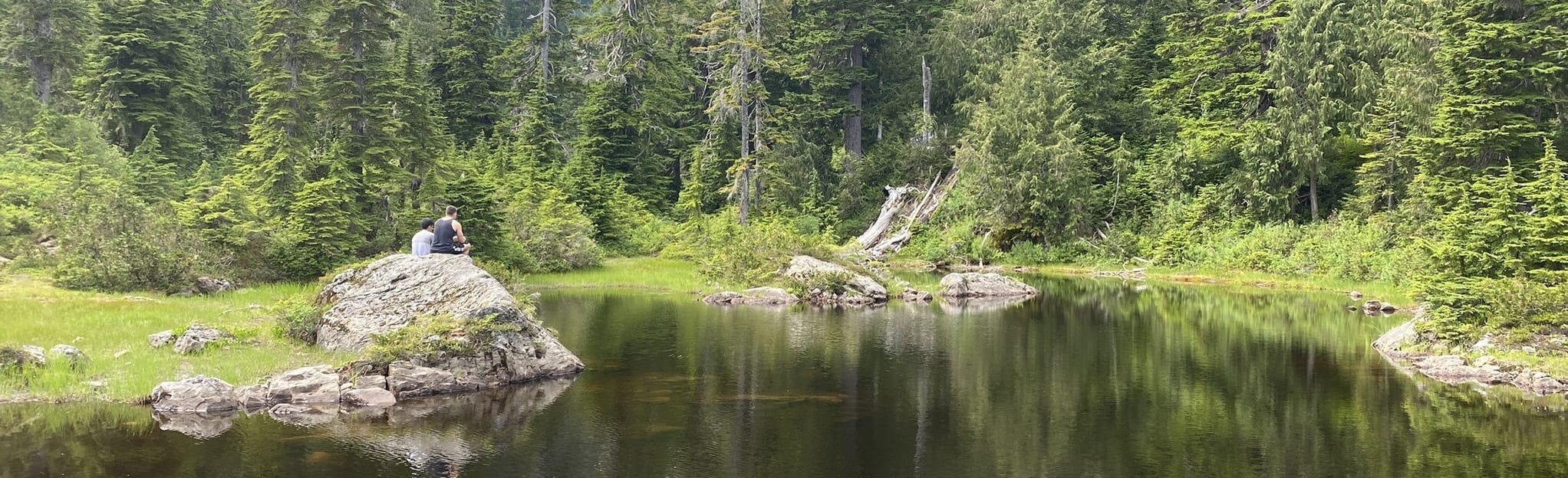 Pinnacle Lake Trail: 293 Reviews, Map - Washington | AllTrails