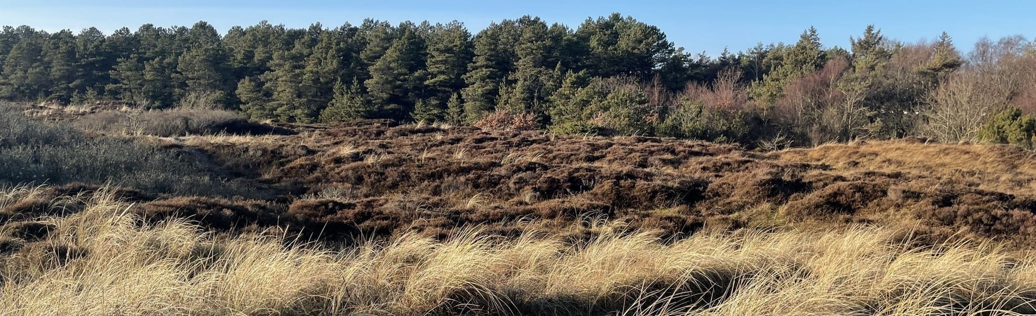 Grenaa Strand, Central Denmark Region, Denmark - 5 Reviews, Map | AllTrails