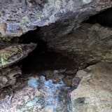 Junee Cave Track, Tasmania, Australia - 82 Reviews, Map | AllTrails