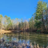 Tecumseh Trail, Indiana - 294 Reviews, Map | AllTrails