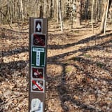 Tecumseh Trail, Indiana - 294 Reviews, Map | AllTrails