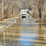 Tecumseh Trail, Indiana - 294 Reviews, Map | AllTrails