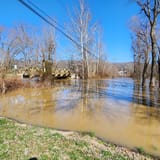 Tecumseh Trail, Indiana - 294 Reviews, Map | AllTrails