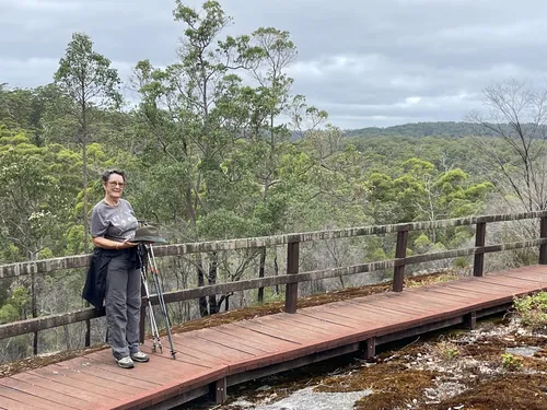 2023 Best No Dogs Trails in Shannon | AllTrails