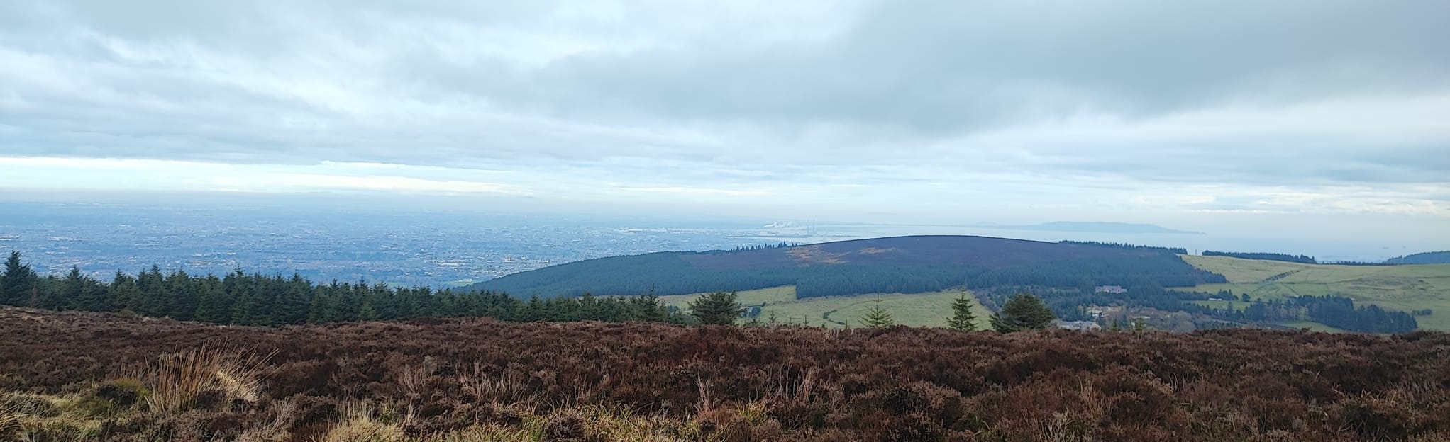 Cruagh Forest - Tibradden Mountain Trail: 272 Reviews, Map - County ...