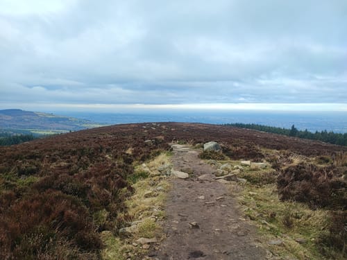 Best 10 Hikes and Trails in Three Rock Wood | AllTrails