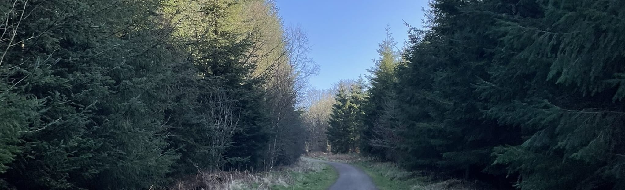 Cotehill Woods, Cumbria, England - 27 Reviews, Map | AllTrails