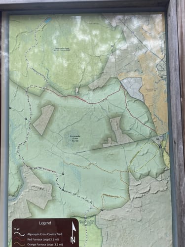 Best Hikes and Trails in Pocomoke State Forest | AllTrails