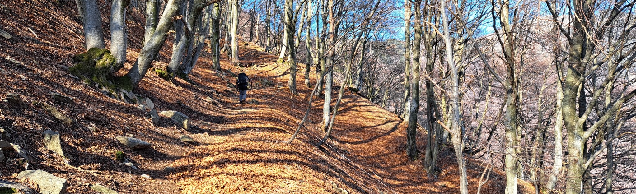 Mezzovico - Rivera: 2 Reviews, Map - Ticino, Switzerland | AllTrails