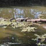 Fort Fraser Connector Trail to Circle B Bar Preserve [CLOSED], Florida ...