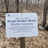 Broad Meadow Brook Trail, Massachusetts - 831 Reviews, Map | AllTrails