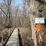 Broad Meadow Brook Trail, Massachusetts - 831 Reviews, Map | AllTrails