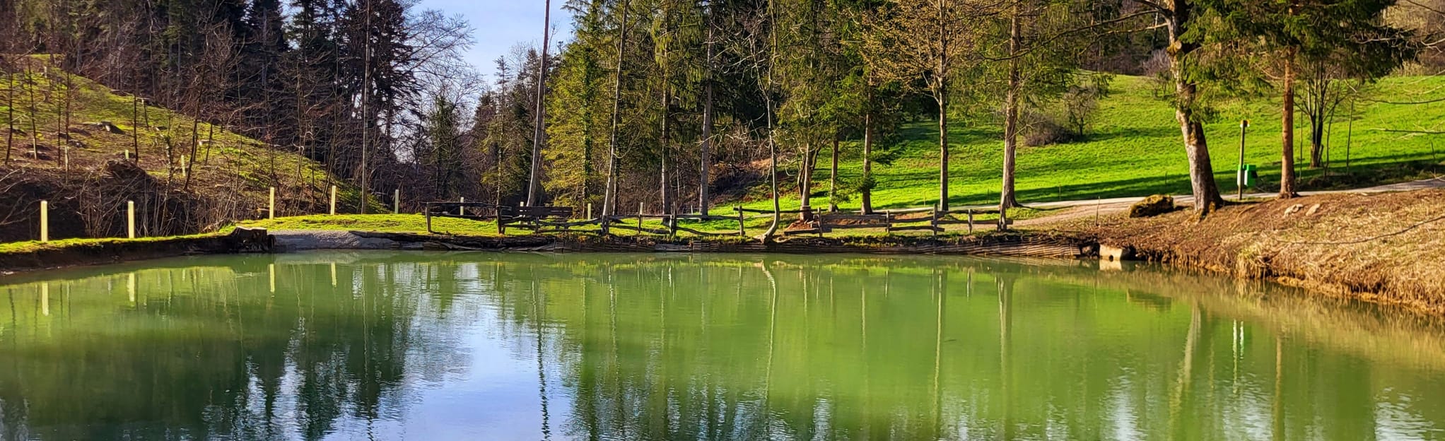 Linn - Linner Wasserfall: 33 Fotos - Aargau, Schweiz | Wandern | AllTrails