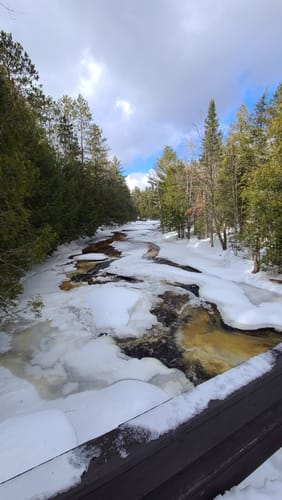 2023 Best Forest Trails in Copper Falls State Park | AllTrails