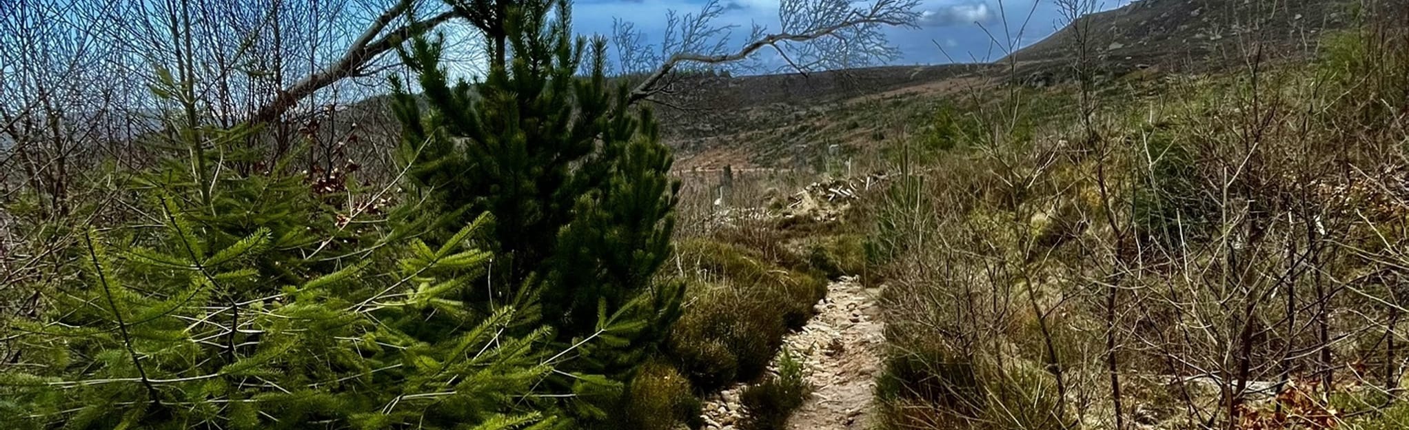 Simonside Hills Circular, Northumberland, England - 254 Reviews, Map ...