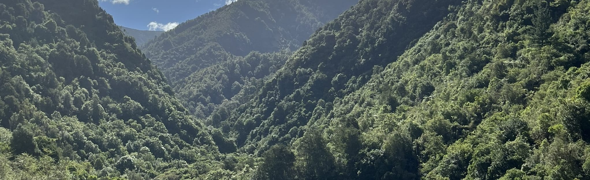 Pearse Valley Resurgence, Nelson-Tasman, New Zealand - 6 Reviews, Map ...