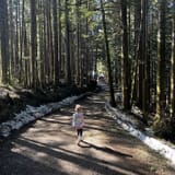 Spada Lake Culmback Dam Trail, Washington - 85 Reviews, Map | AllTrails