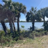 Fay Lake Wilderness Park Loop, Florida - 49 Reviews, Map | AllTrails