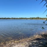 Fay Lake Wilderness Park Loop, Florida - 49 Reviews, Map | AllTrails