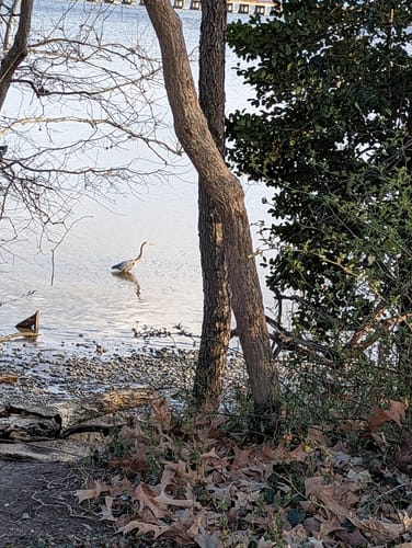 Best Hikes and Trails in Mariner Point Park | AllTrails