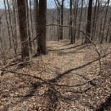 Shawnee State Park North Loop, Ohio - 204 Reviews, Map | AllTrails