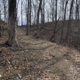 Shawnee State Park North Loop, Ohio - 175 Reviews, Map | AllTrails
