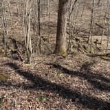 Shawnee State Park North Loop, Ohio - 175 Reviews, Map | AllTrails