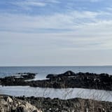 Parson's Way, Maine - 348 Reviews, Map | AllTrails