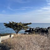 Parson's Way, Maine - 348 Reviews, Map | AllTrails