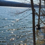 Canadice Lake Walking Path, New York - 359 Reviews, Map | AllTrails