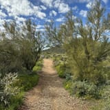 Ridgeback and Apache Wash Trail Loop, Arizona - 806 Reviews, Map ...