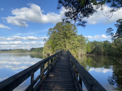Best Hikes and Trails in Martin Dies, Jr. State Park | AllTrails