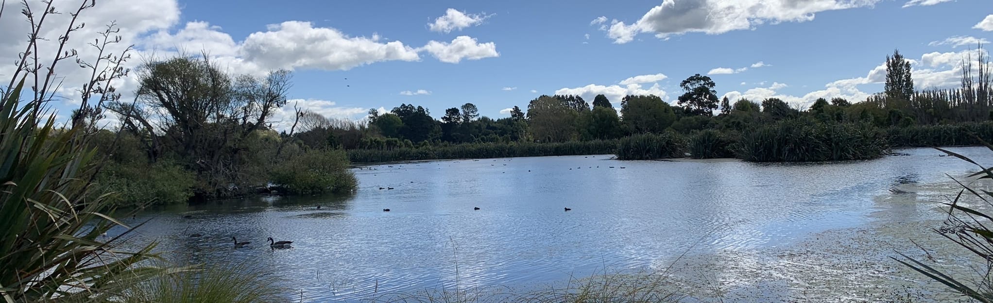 Styx Mill Reserve Loop: 63 Reviews, Map - Canterbury, New Zealand ...