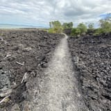Rangitoto Island Summit Track, Auckland, New Zealand - 217 Reviews, Map ...