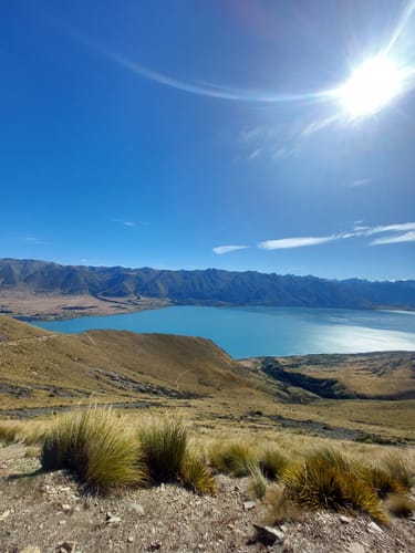 Best Hikes and Trails in Sparks Road Wetland | AllTrails