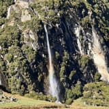Wishbone Falls Walk, Otago, New Zealand - 11 Reviews, Map | AllTrails