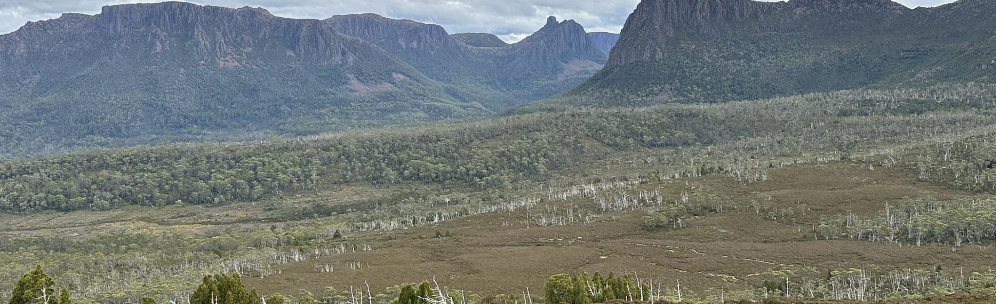 Mount Pelion East: 1 Reviews, Map - Tasmania, Australia | AllTrails