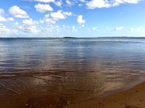 Best Hikes and Trails in King Island Conservation Park | AllTrails